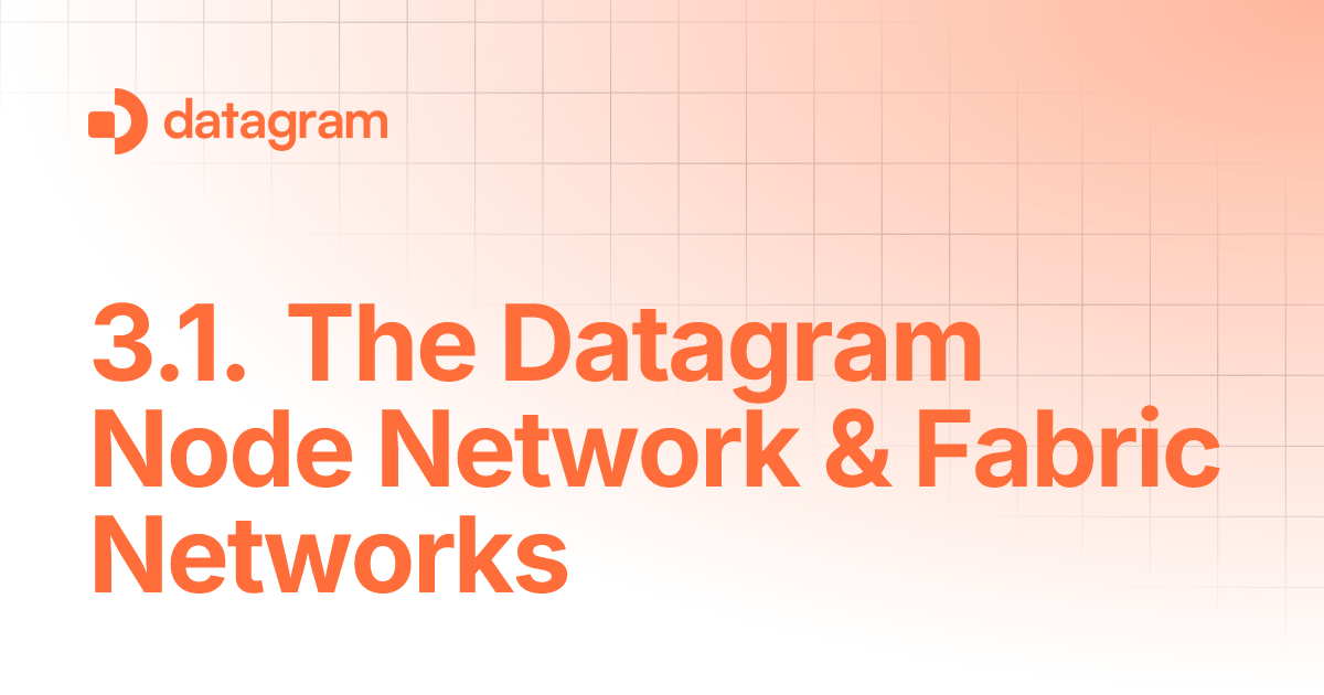 3.1. The Datagram Node Network & Fabric Networks | Datagram